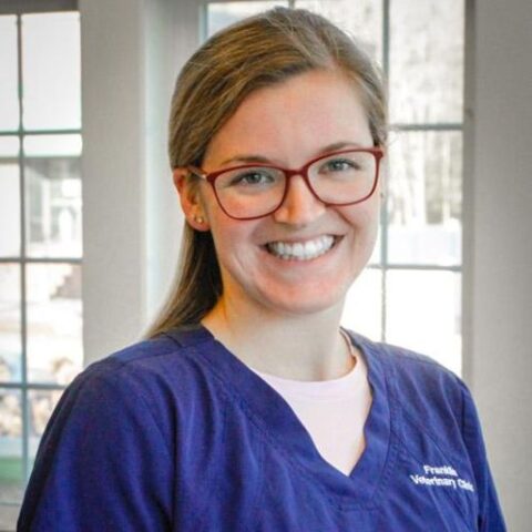 Veterinarian In Franklin, MA 02038 | Franklin Vet Clinic